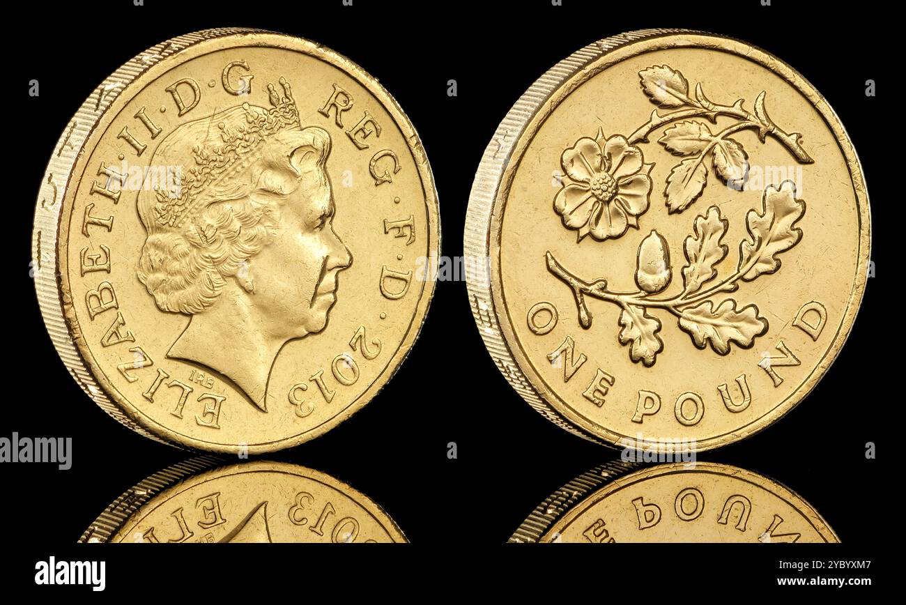 2013 £1 coin with the 4th coin portrait of Queen Elizabeth II. The ...