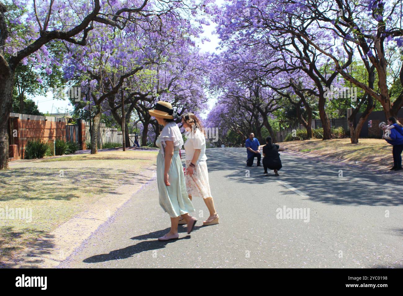 Pretoria, Gauteng, South Africa. 20th Oct, 2024. On 20 October 2024 ...