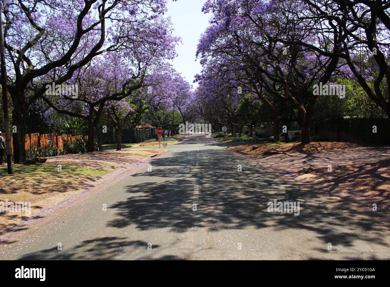 Pretoria, Gauteng, South Africa. 20th Oct, 2024. On 20 October 2024 ...