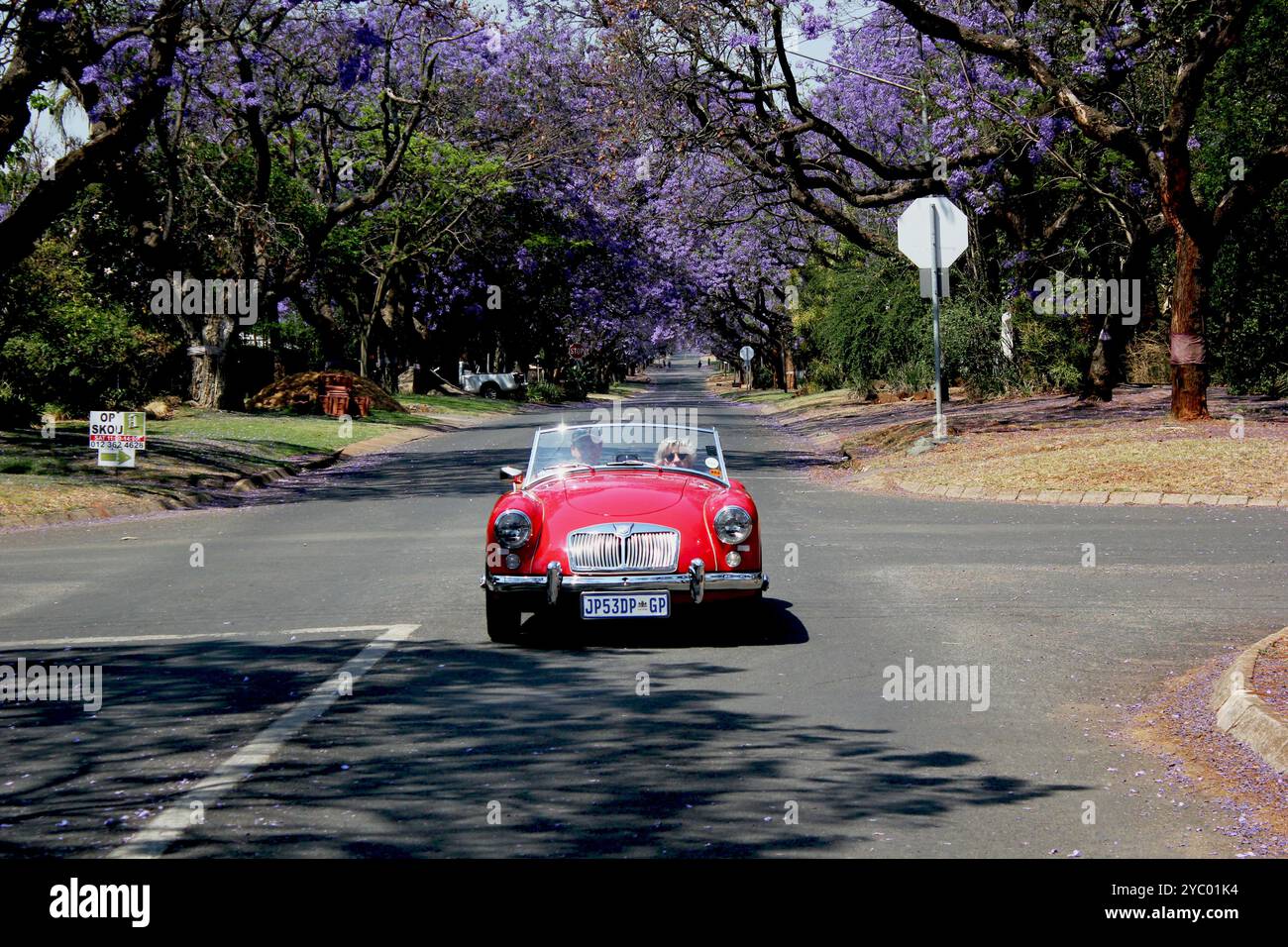 Pretoria, Gauteng, South Africa. 20th Oct, 2024. On 20 October 2024 ...