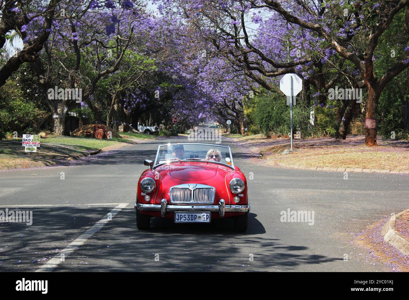 Pretoria, Gauteng, South Africa. 20th Oct, 2024. On 20 October 2024 ...