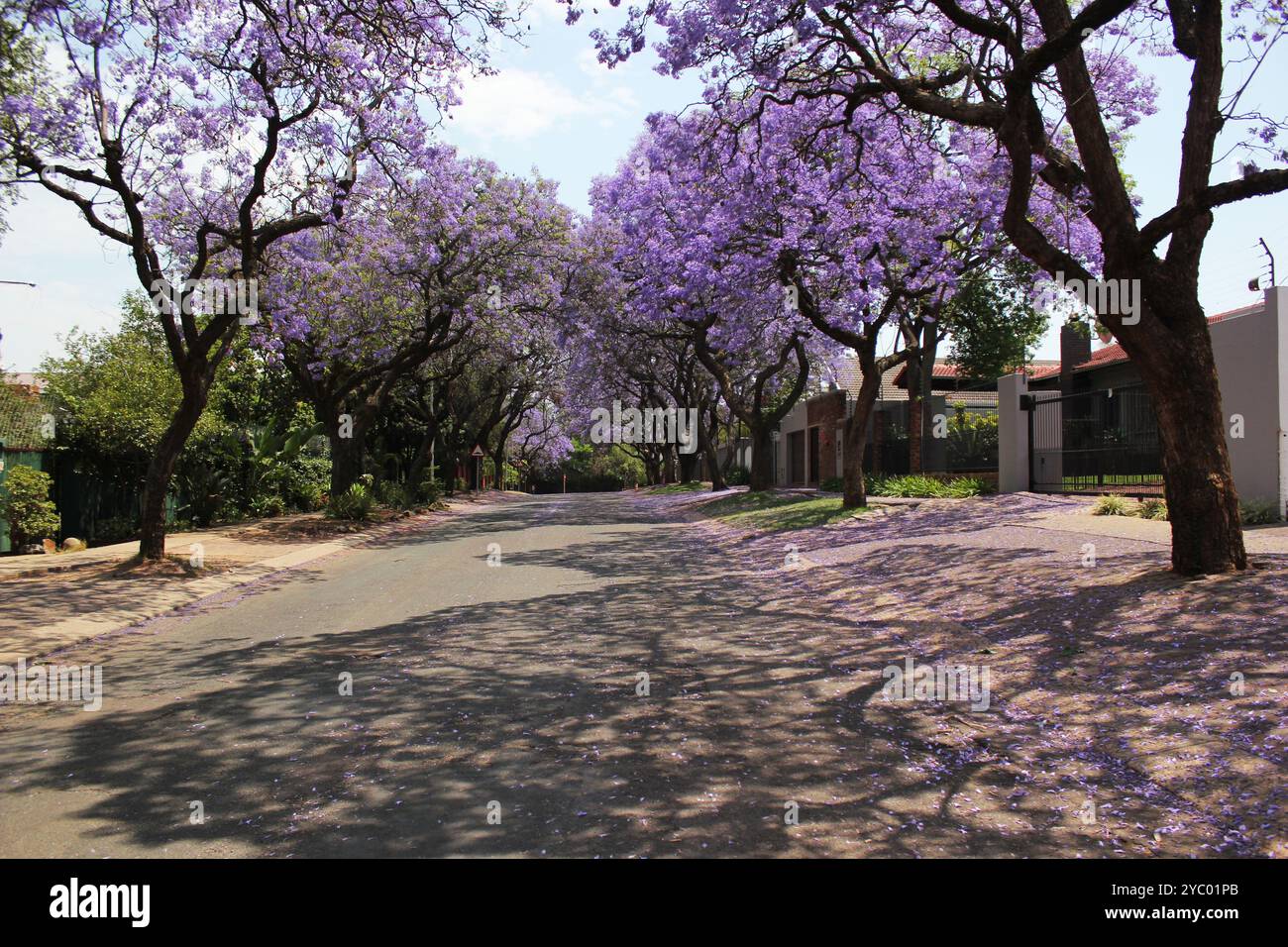 Pretoria centurion hi-res stock photography and images - Alamy