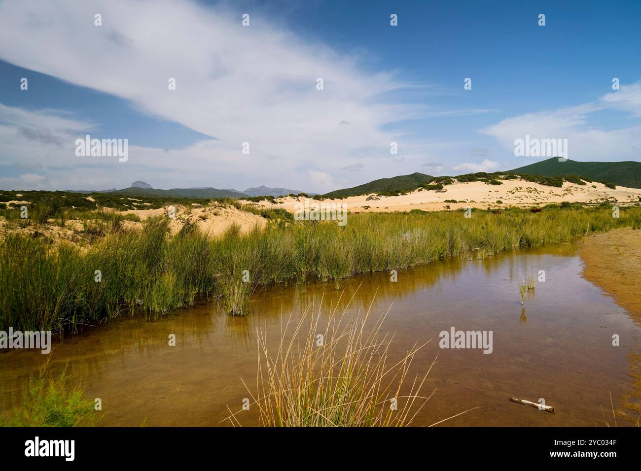 Remote beach hi-res stock photography and images - Alamy
