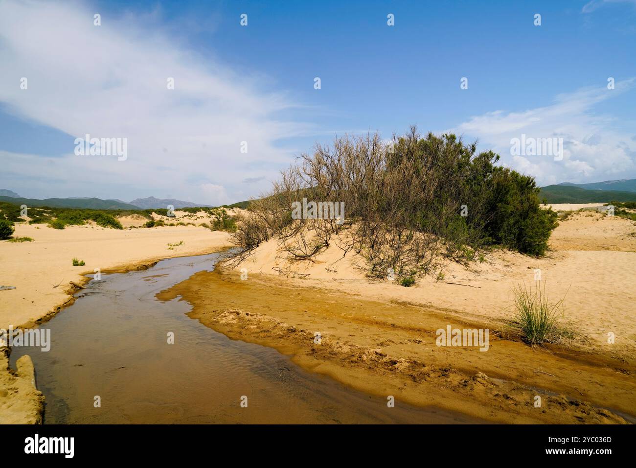 Remote beach hi-res stock photography and images - Alamy