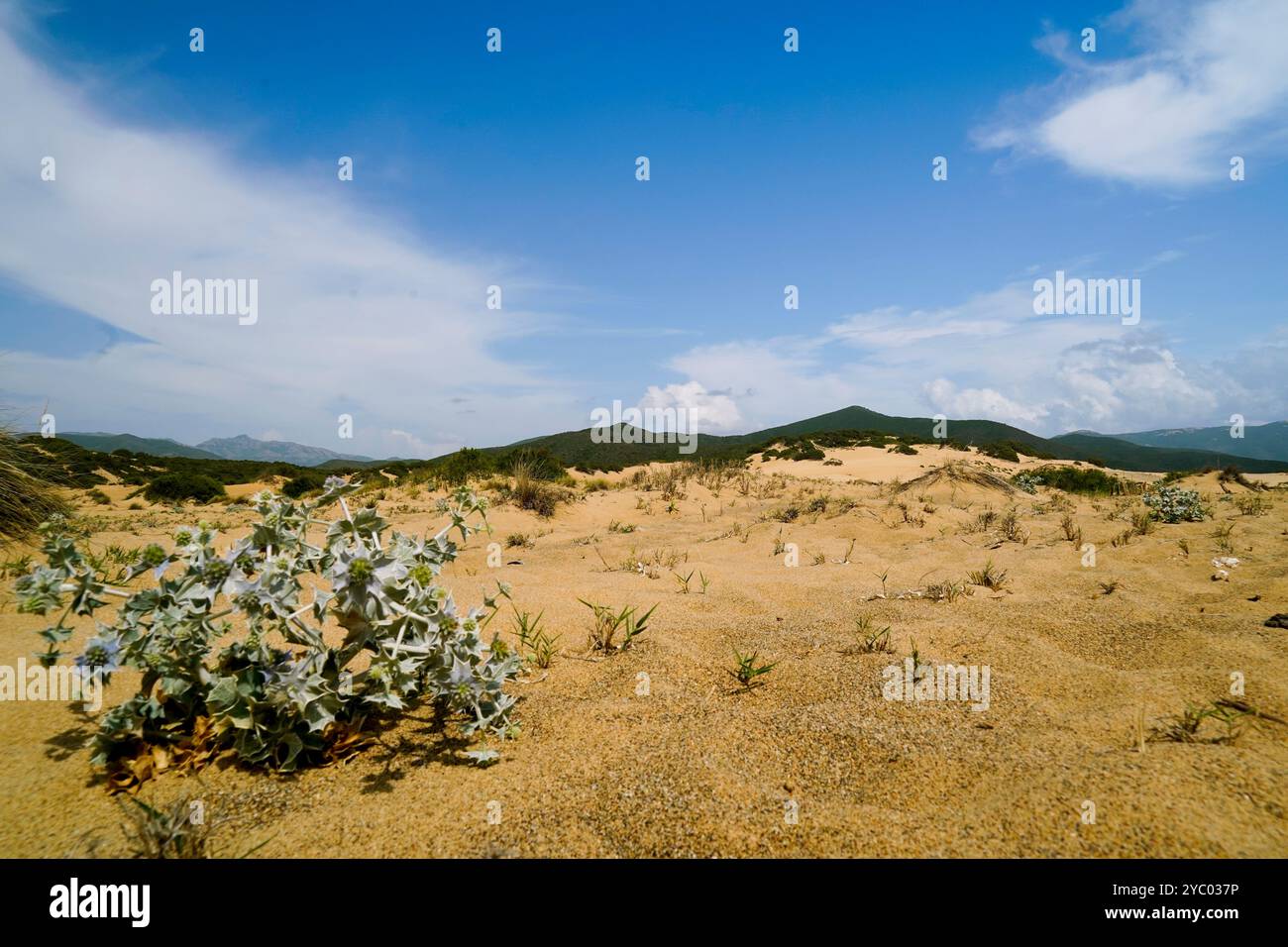 Remote beach hi-res stock photography and images - Alamy