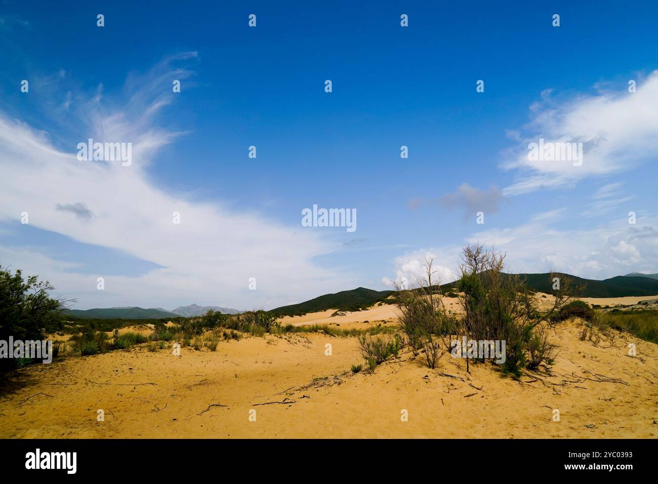 The desert dunes of the remote beach of Piscinas, Sulcis Iglesiense ...