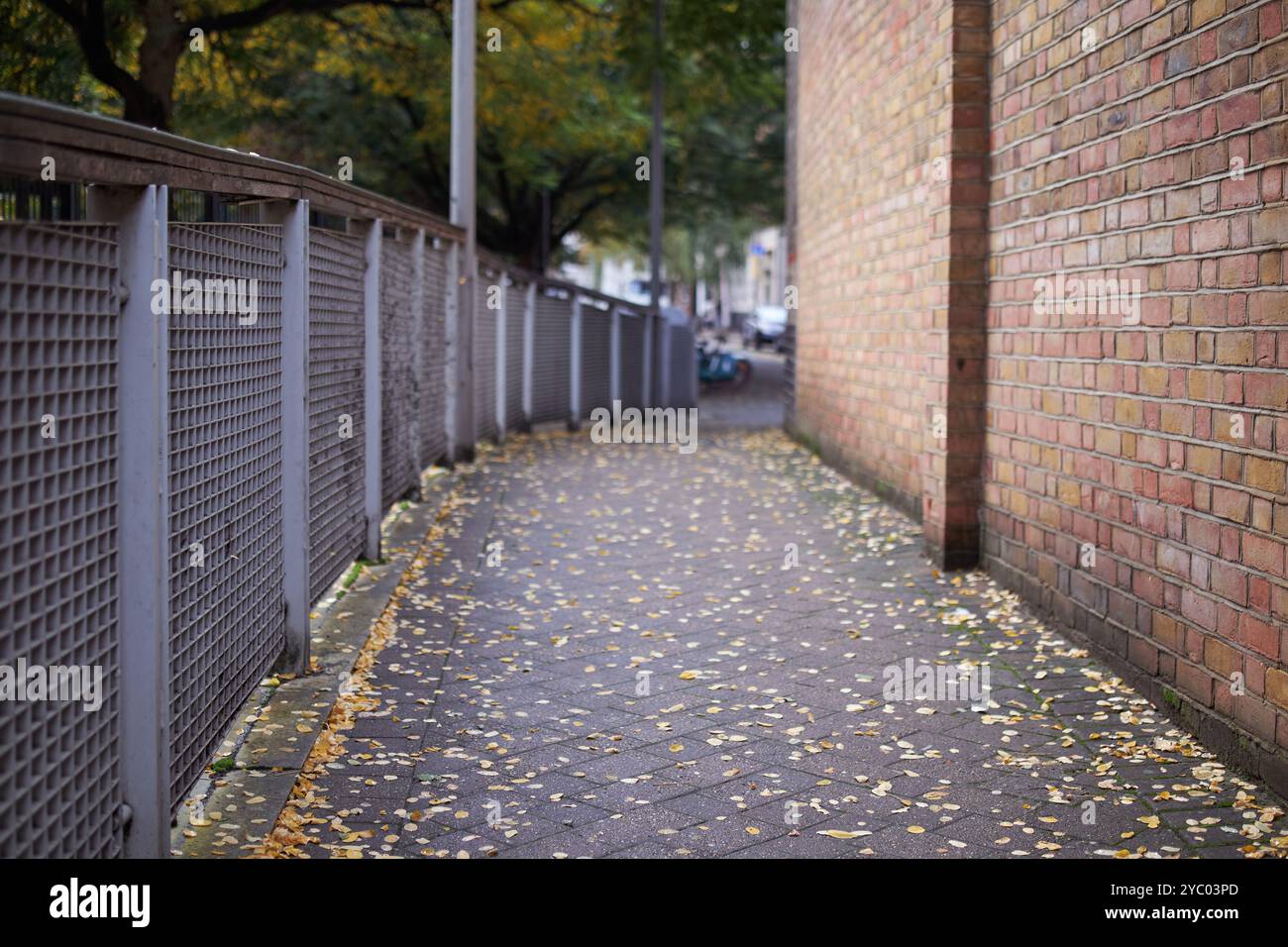 yellow leaves on ground of pathway next to red brick wall and metal ...