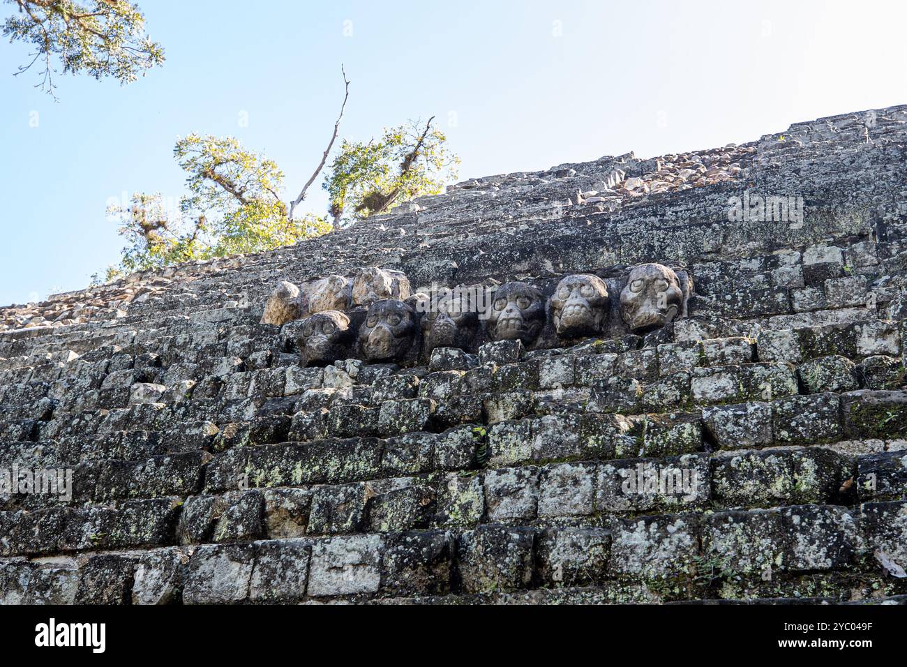 Honduras, Copán Ruinas, Maya architecture and decoration Stock Photo ...
