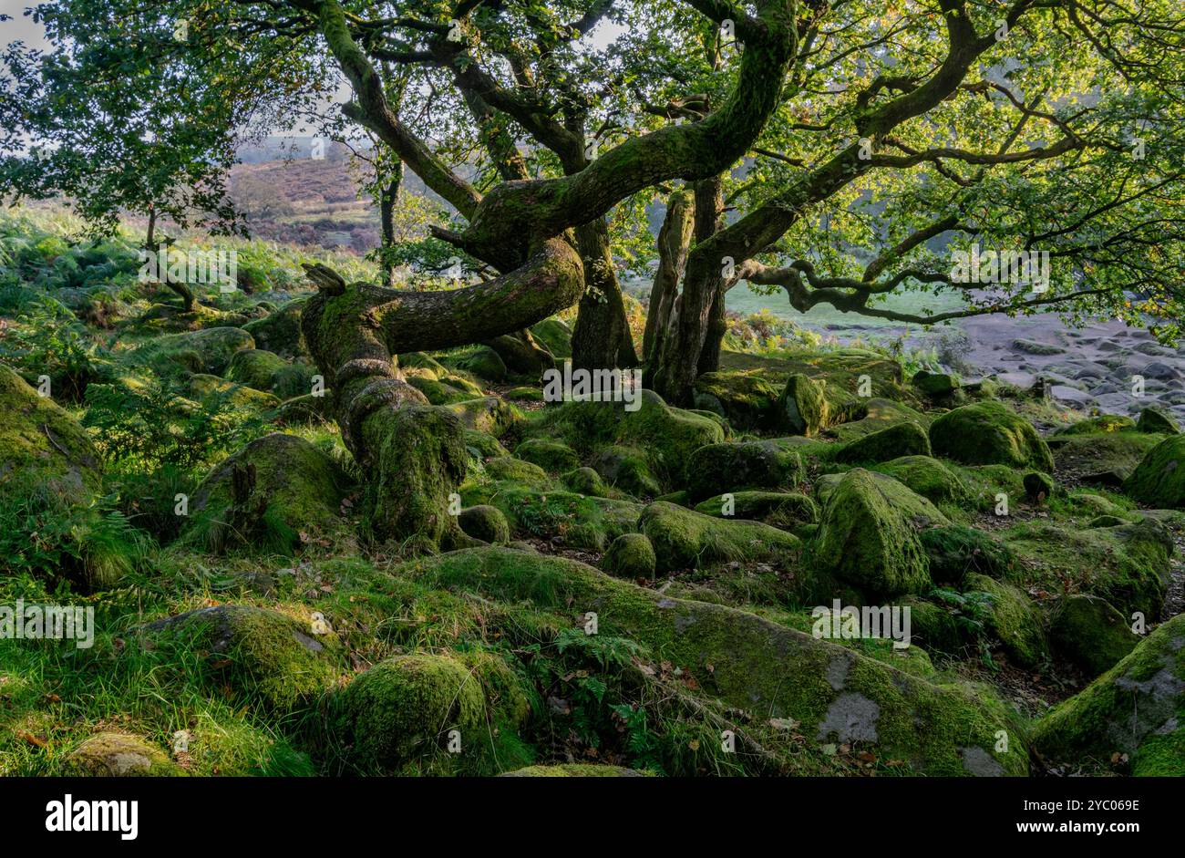 Padley gorge trail peak hi-res stock photography and images - Alamy
