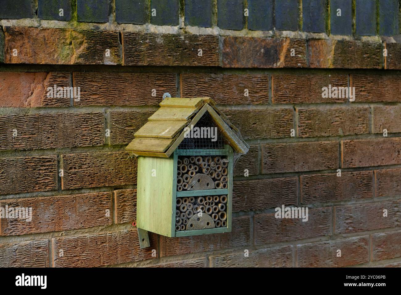 August 2024 - Wooden insect house on a wall in Tewkesbury, England ...