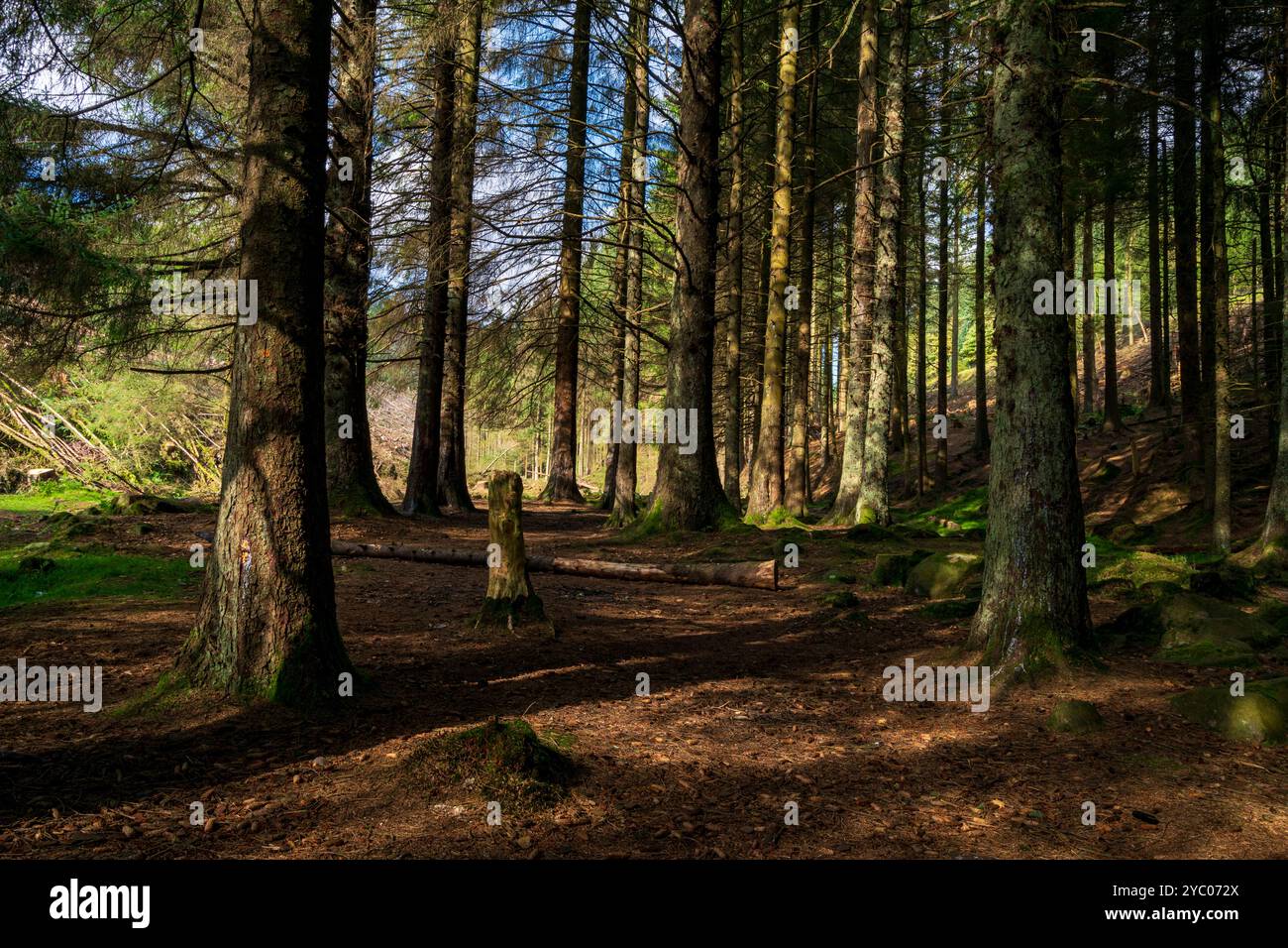 Snake pass in peak hi-res stock photography and images - Alamy