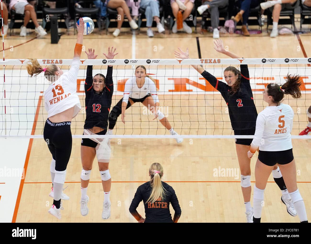 Jenna fischer 2024 hi-res stock photography and images - Alamy