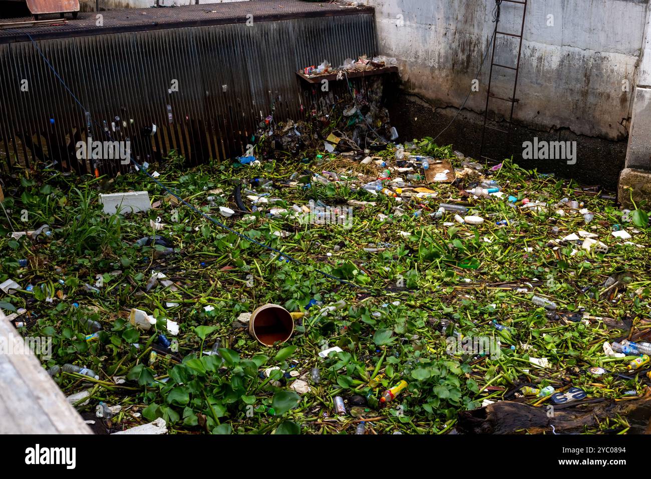 World Water Pollution Problem. dirty water in river canal with ...