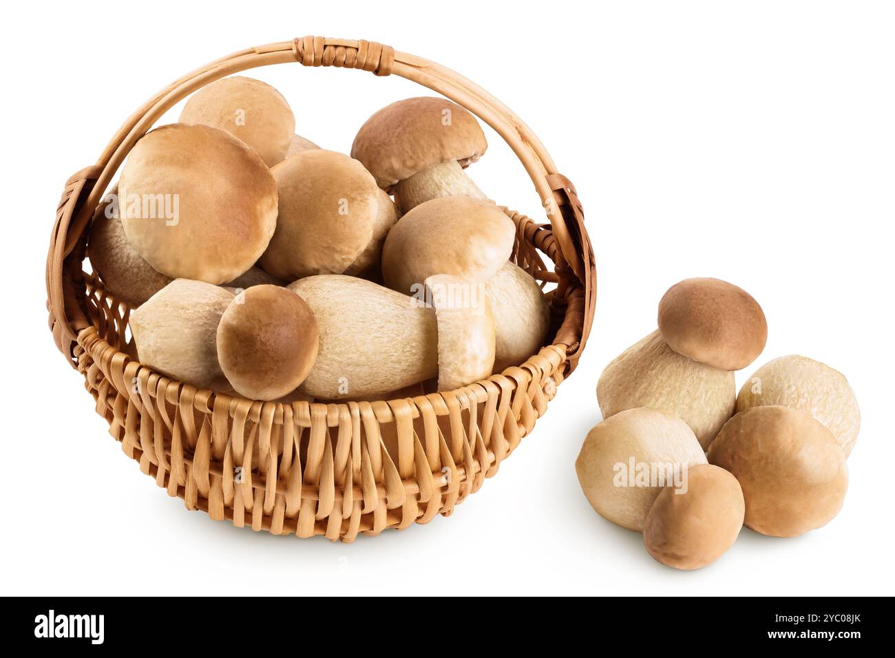 Fresh porcini cep mushroom in wicker basket isolated on white ...