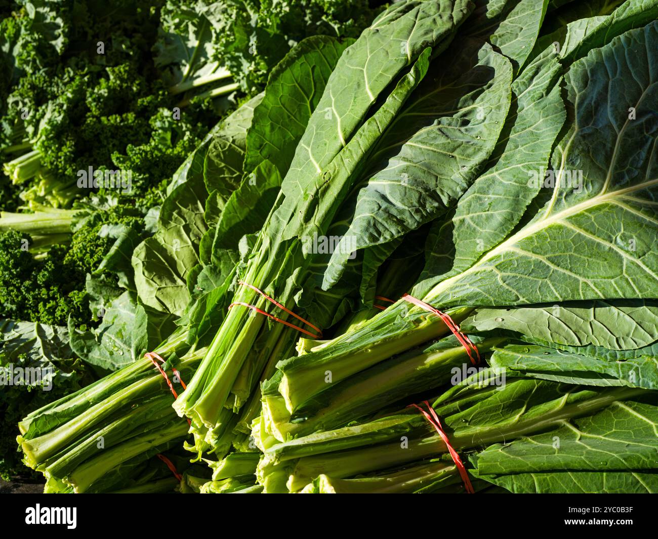 Healthy and fresh bunches of collard greens and kale at a local outdoor ...