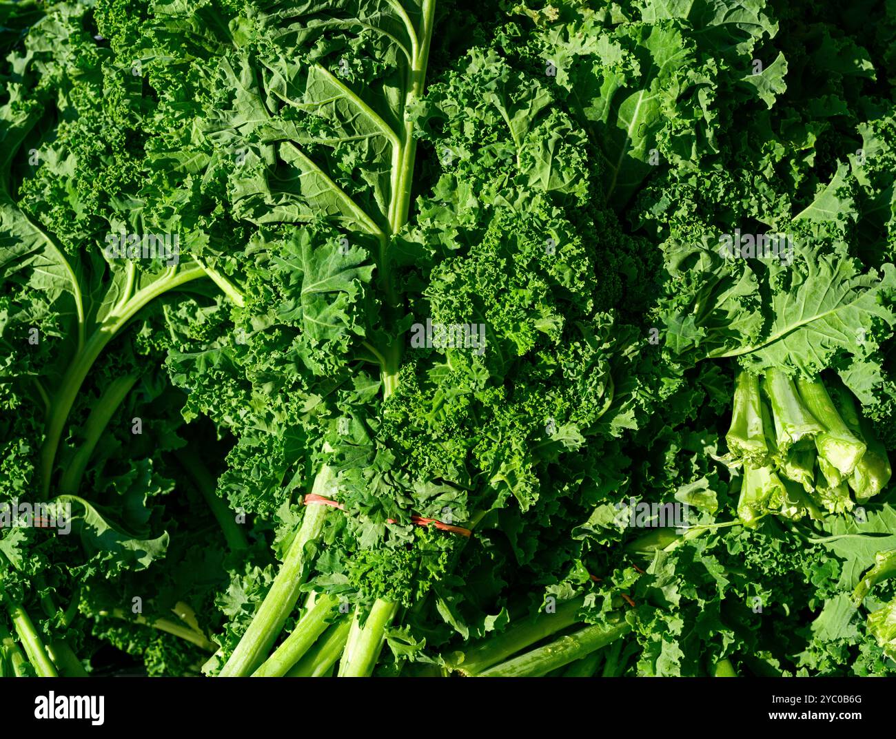 Healthy leafy green bunches of kale at an outdoor market Stock Photo ...