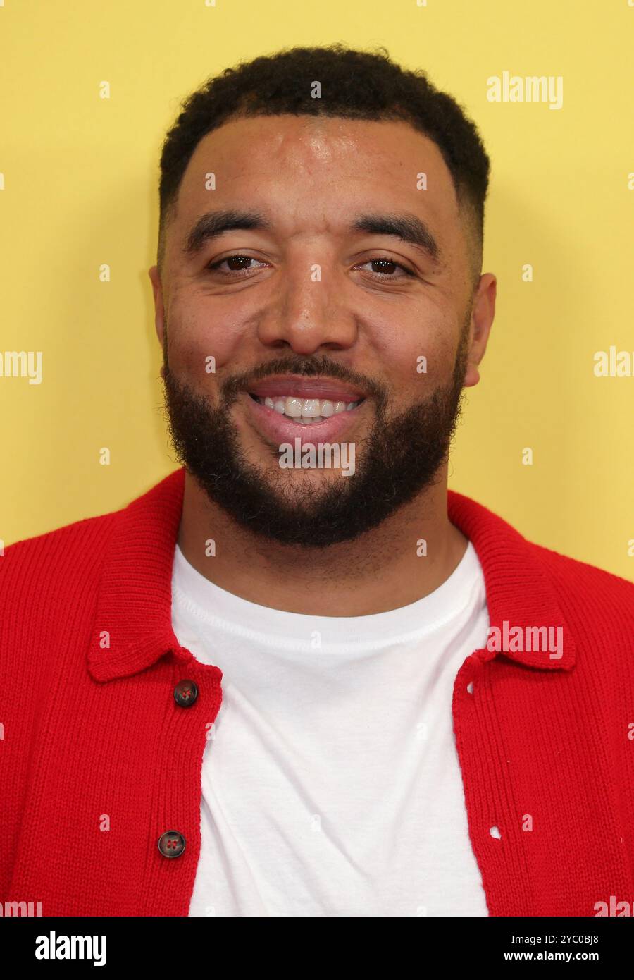 London, UK. 20th Oct, 2024. Troy Deeney attends the "Piece by Piece ...