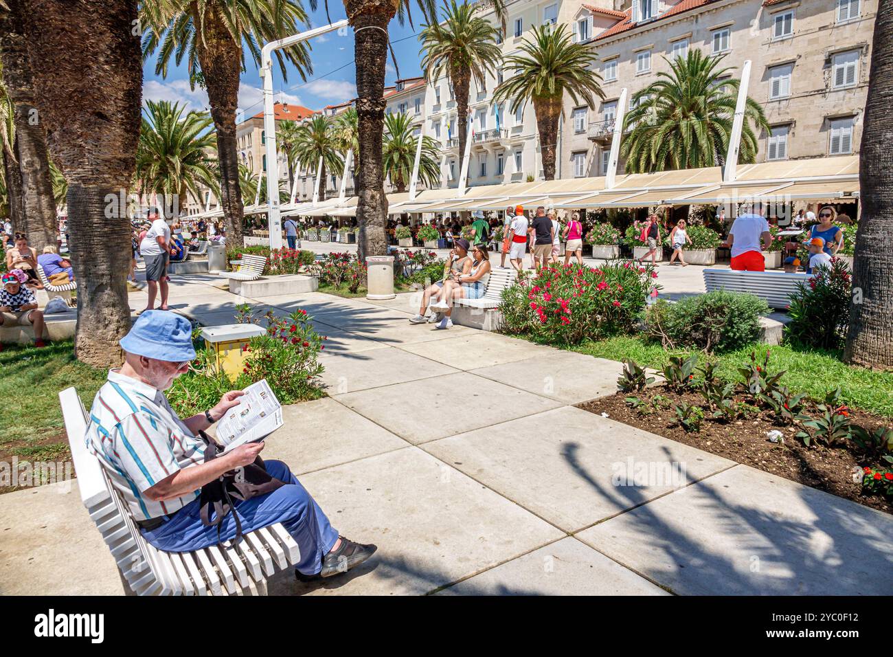 Split Croatia,Splitska Riva waterfront promenade boardwalk,man reading ...