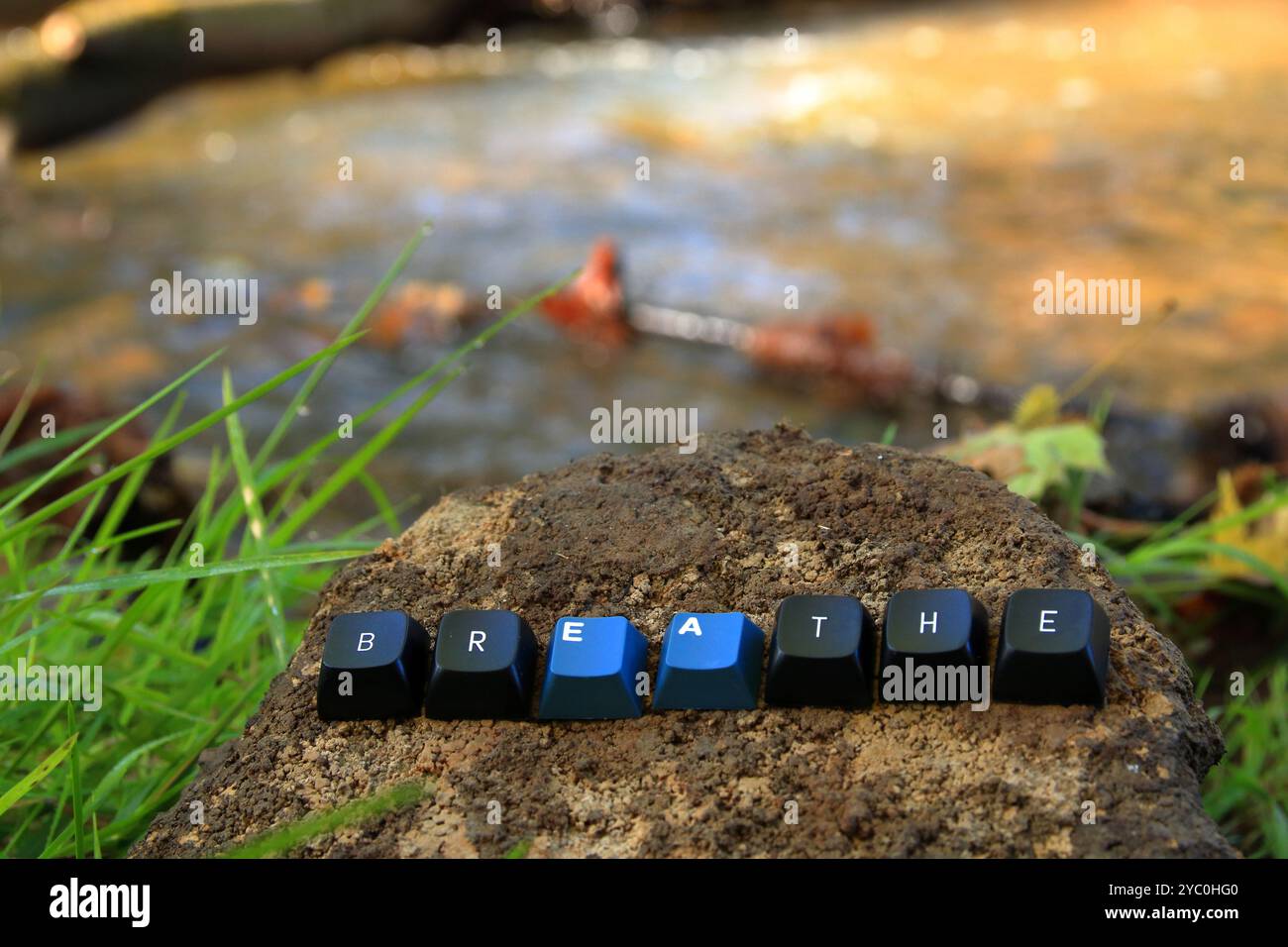 Remember solution hi-res stock photography and images - Alamy