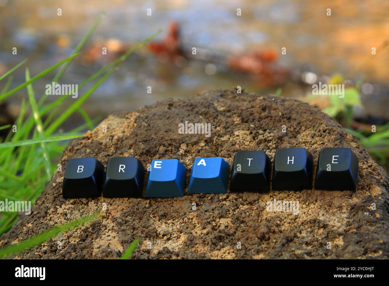 Loved me back to life hi-res stock photography and images - Alamy