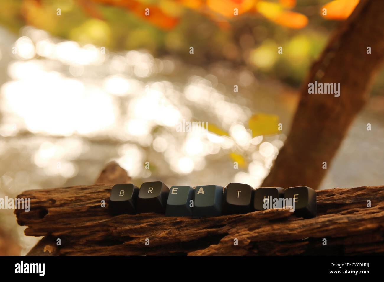 Remember solution hi-res stock photography and images - Alamy