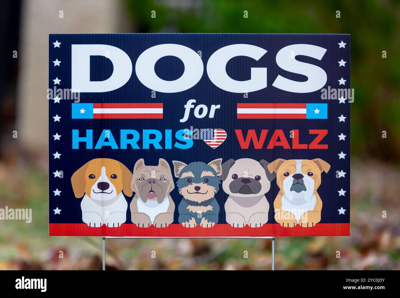2024 US presidential election yard sign with illustrations of dogs ...