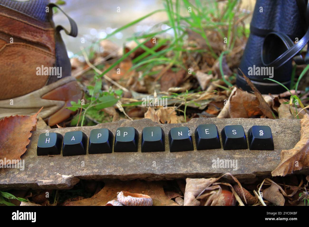 Hunt For Happiness Stock Photo - Alamy