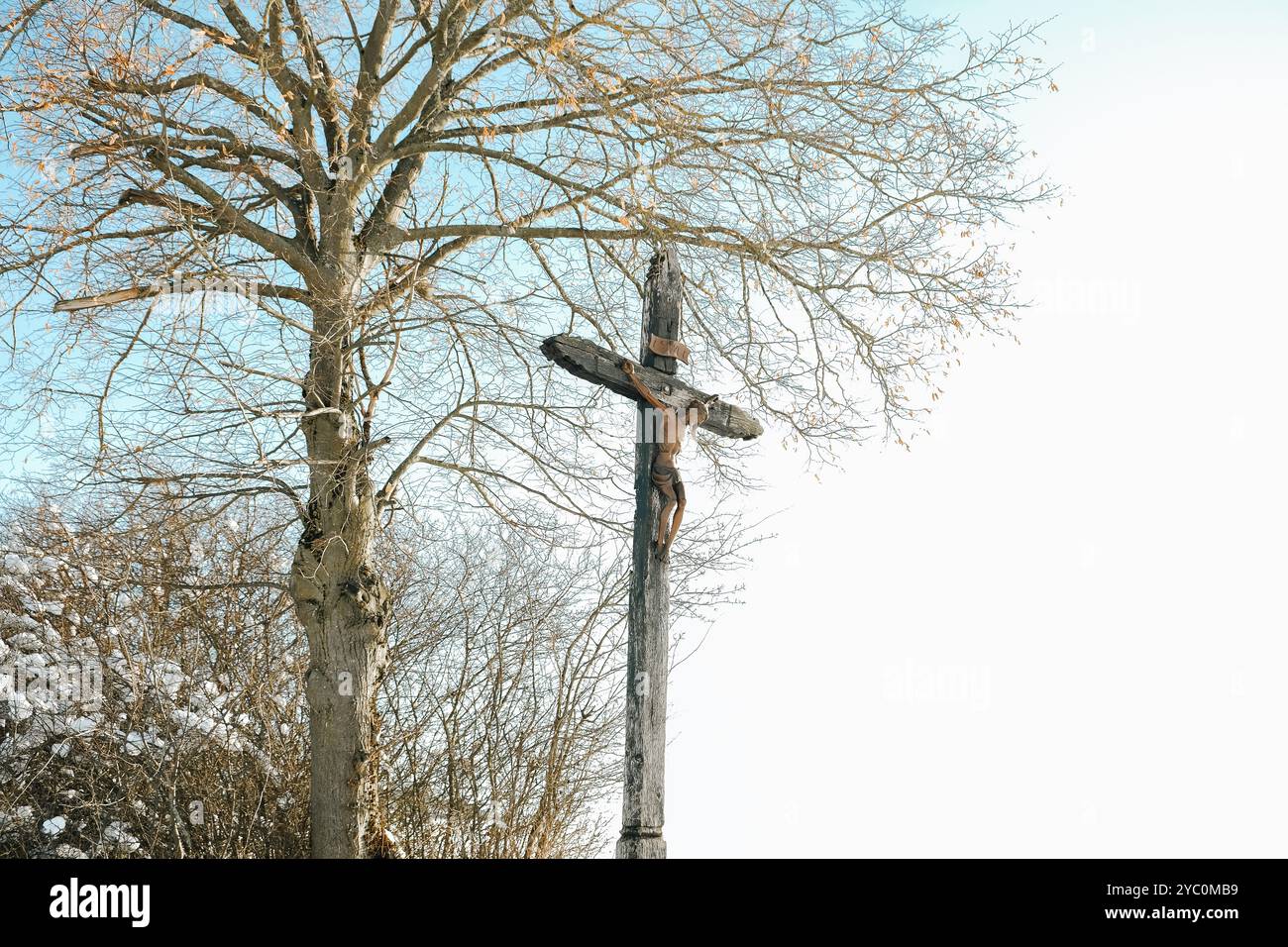 Christmas religious background.Wooden cross with jesus christ in grove ...