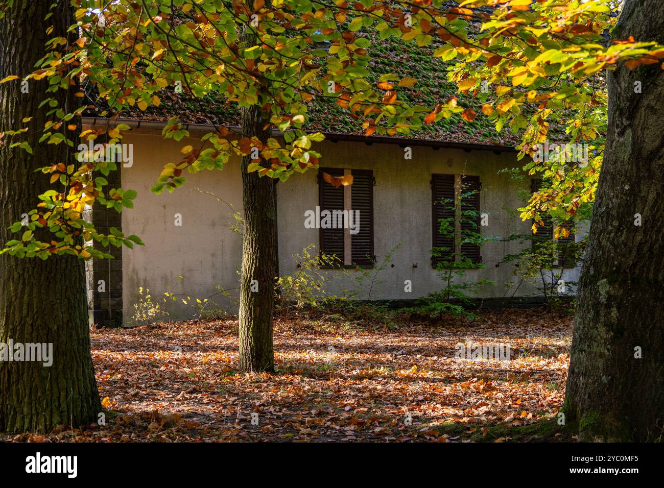 Lanke Germany 2024: The Waldhof on Bogensee is the former country ...