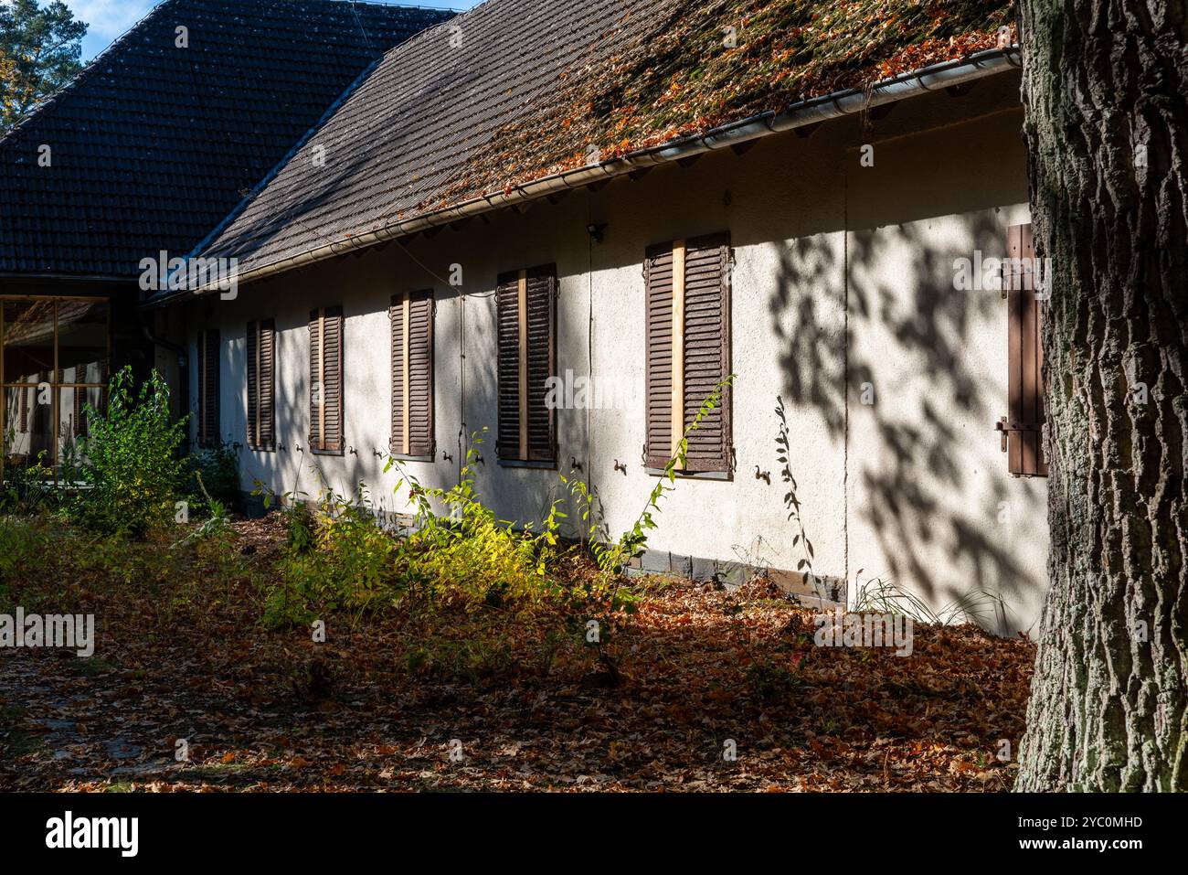 Lanke Germany 2024: The Waldhof on Bogensee is the former country ...