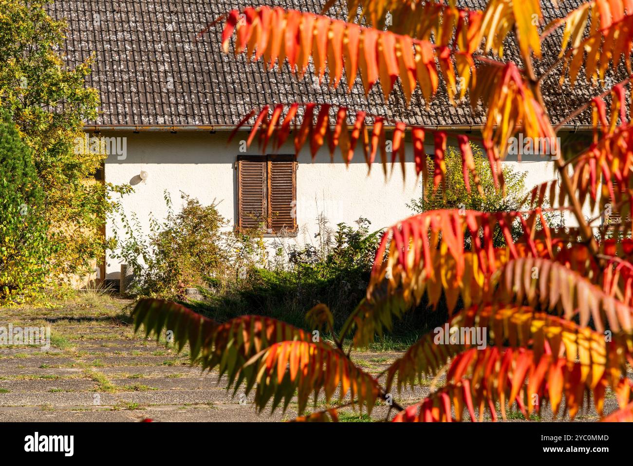 Lanke Germany 2024: The Waldhof on Bogensee is the former country ...