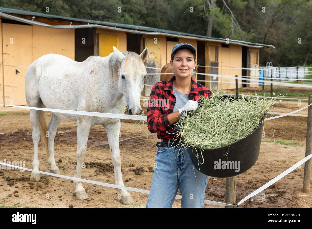 Girl feeding fresh hay horse hi-res stock photography and images - Alamy
