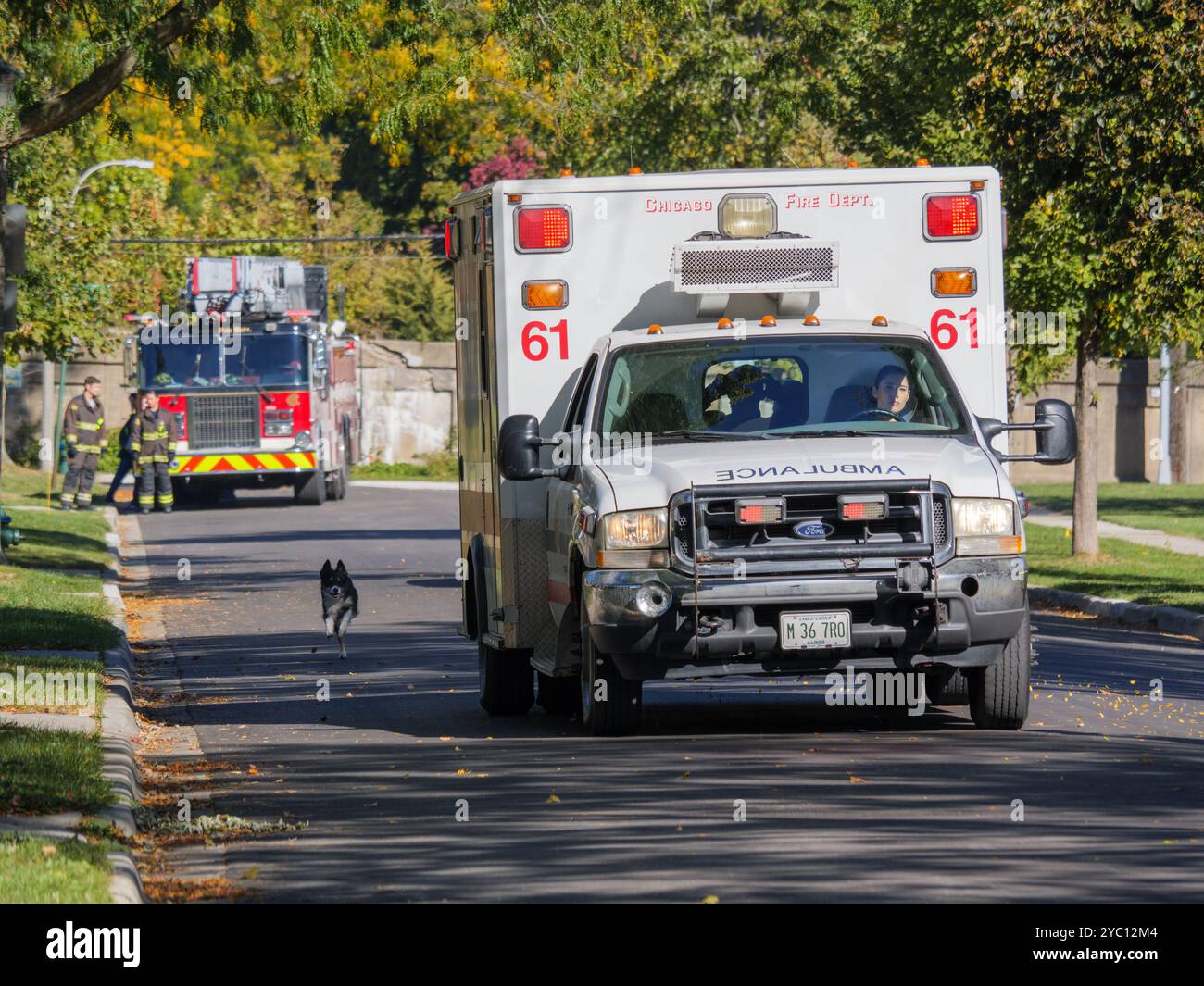 Filming a scene involving a dog chasing an ambulance in, "Chicago Fire ...