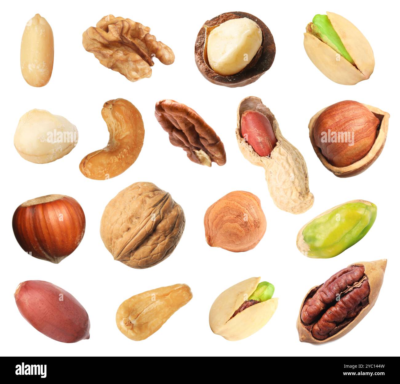 Macadamia and other nuts isolated on white, collection Stock Photo - Alamy