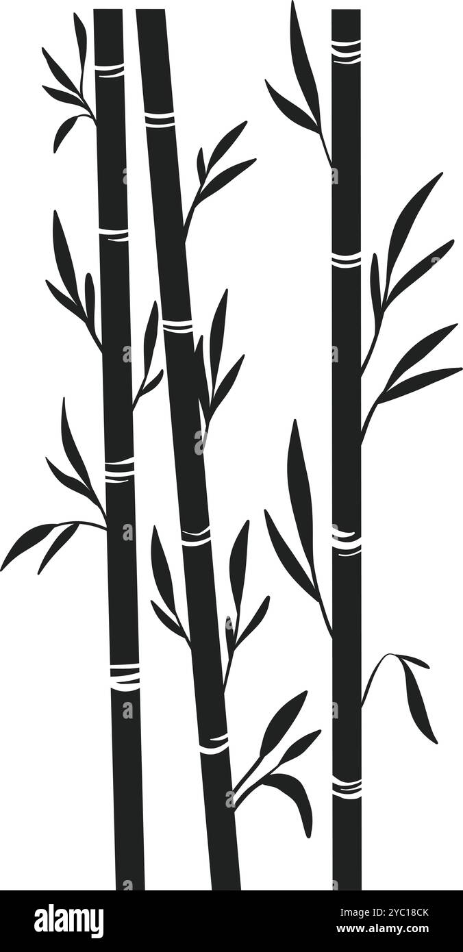 Bamboo forest stems. Jungle bamboo stems silhouettes, bamboo branches ...