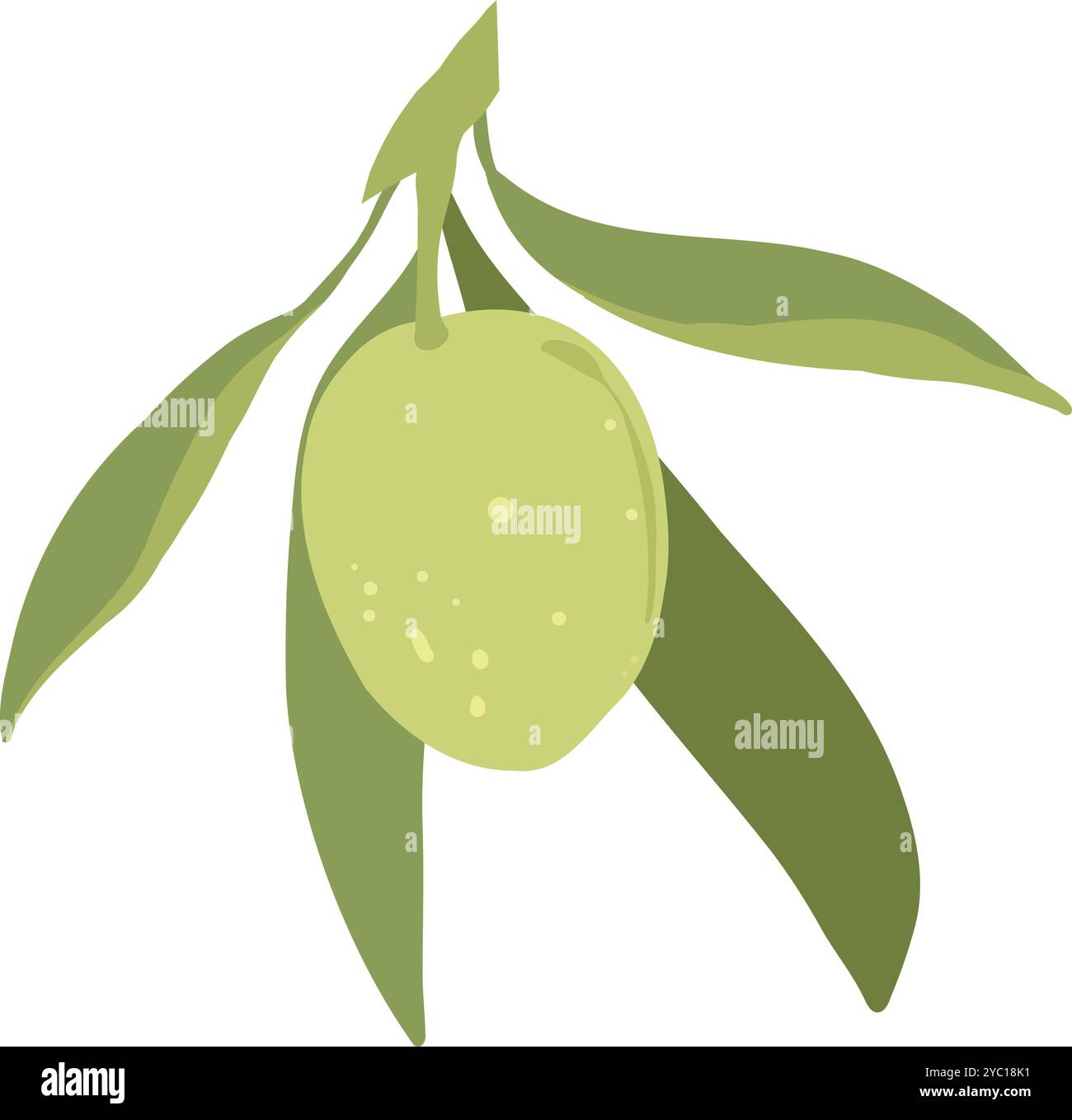 O is for olive Cut Out Stock Images & Pictures - Alamy