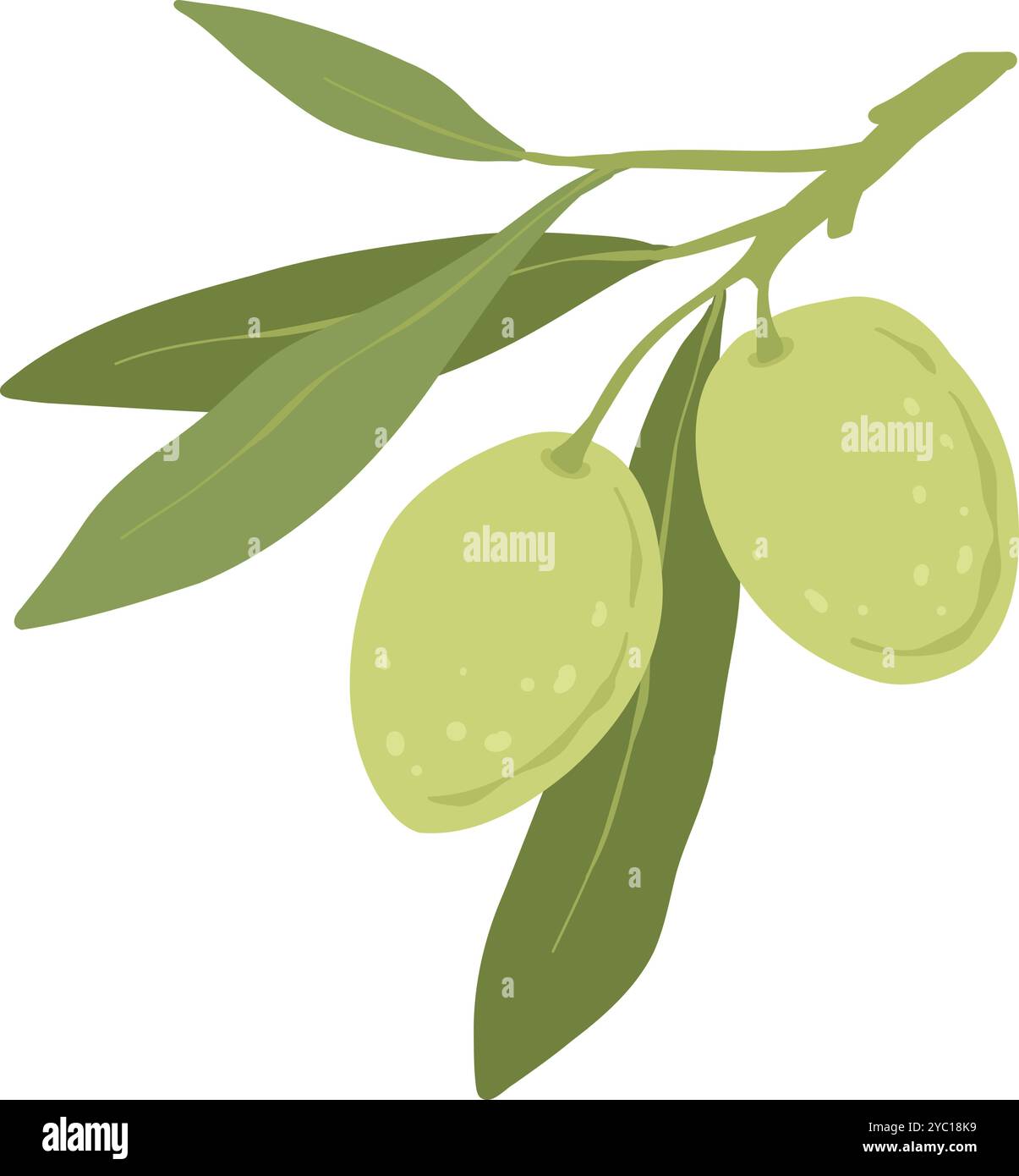 O is for olive Cut Out Stock Images & Pictures - Alamy