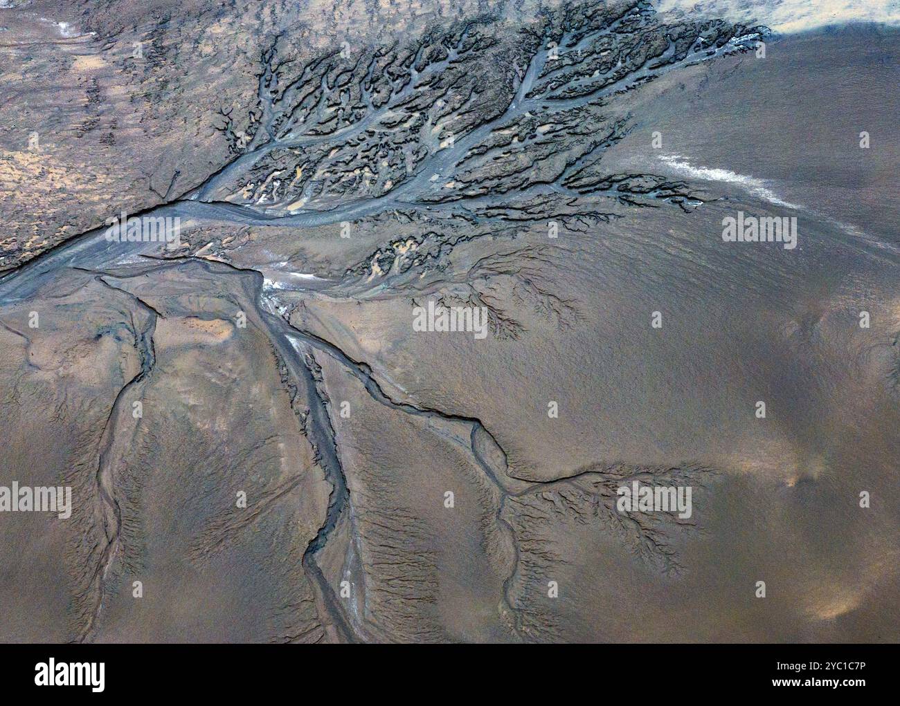 YANCHENG, CHINA - OCTOBER 20, 2024 - Aerial photo shows the "tidal tree ...