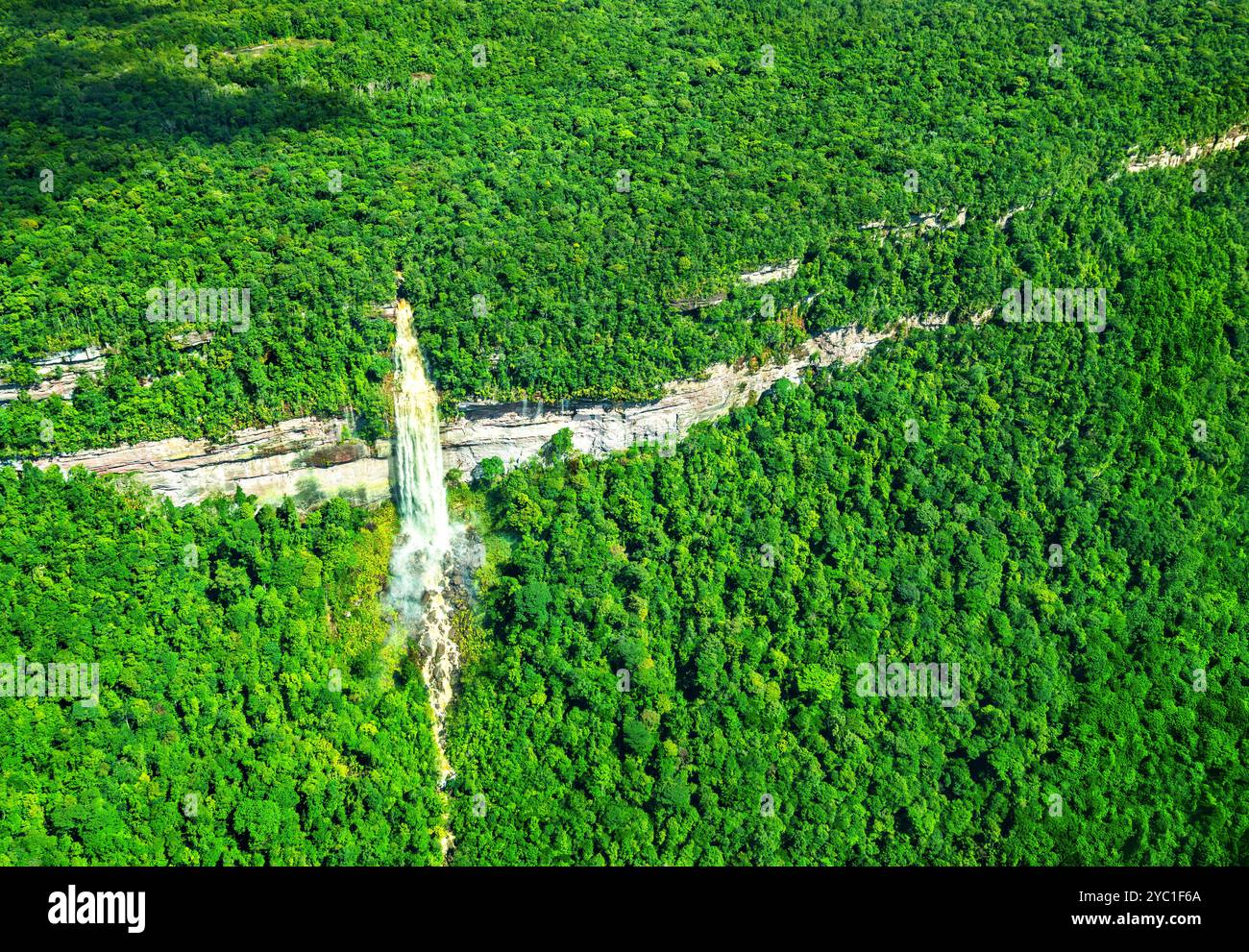 Stunning Aerial View of Kaieteur Falls Cascading Through the Lush ...
