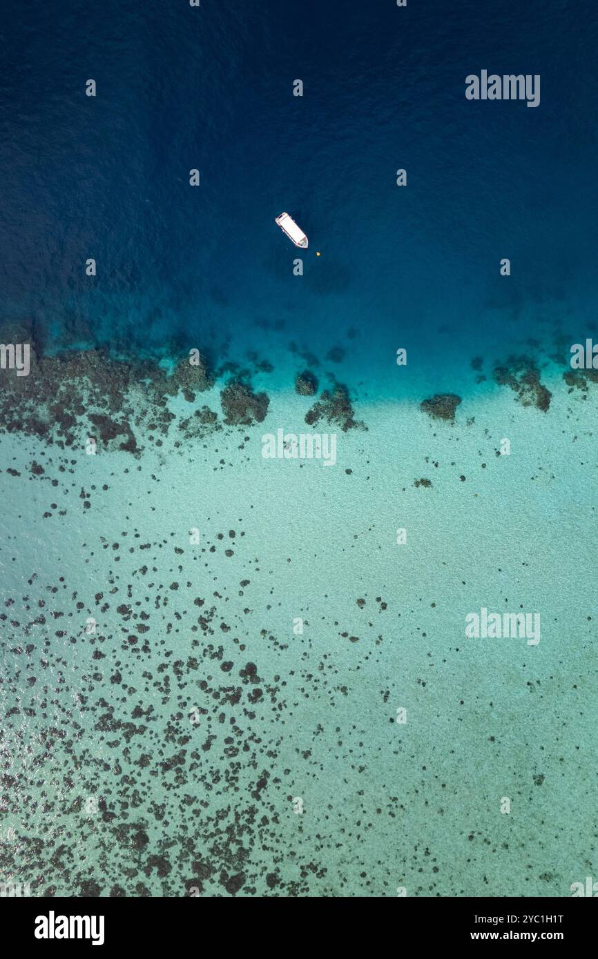 Aerial view of Mayotte’s lagoon reef, showcasing turquoise waters and ...