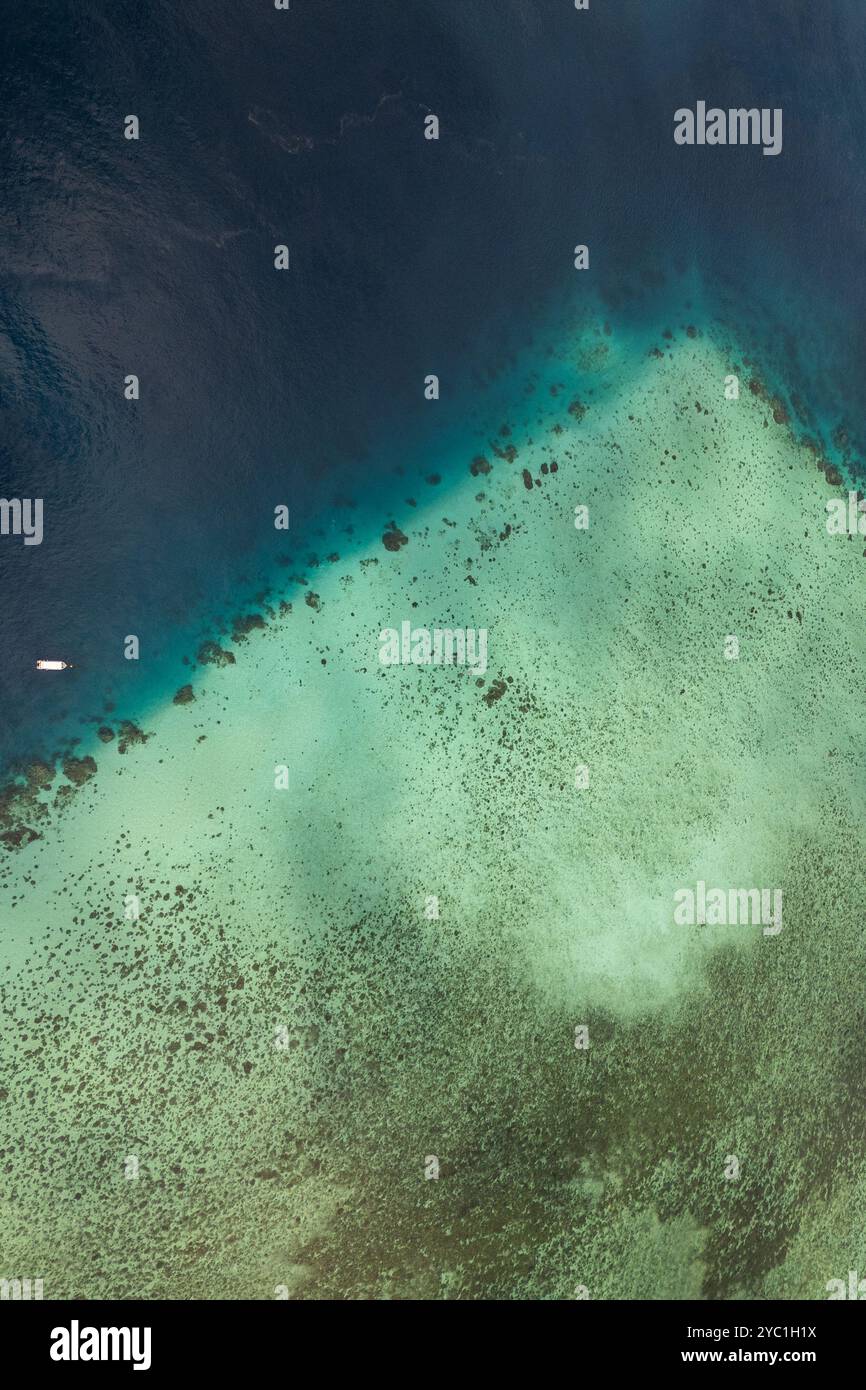 Aerial view of Mayotte’s lagoon reef, showcasing turquoise waters and ...