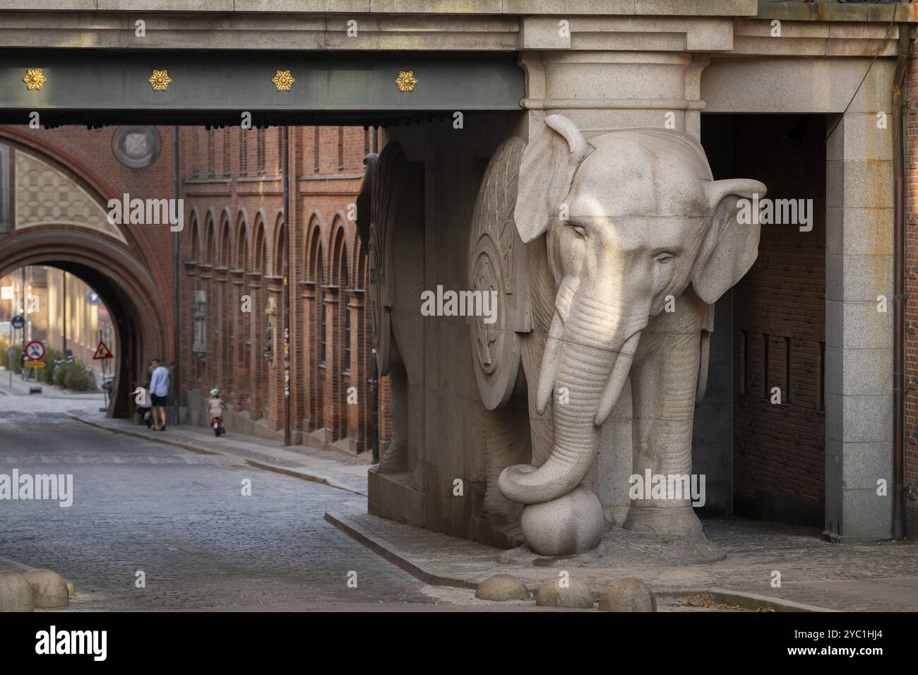 Elephants forms hi-res stock photography and images - Alamy
