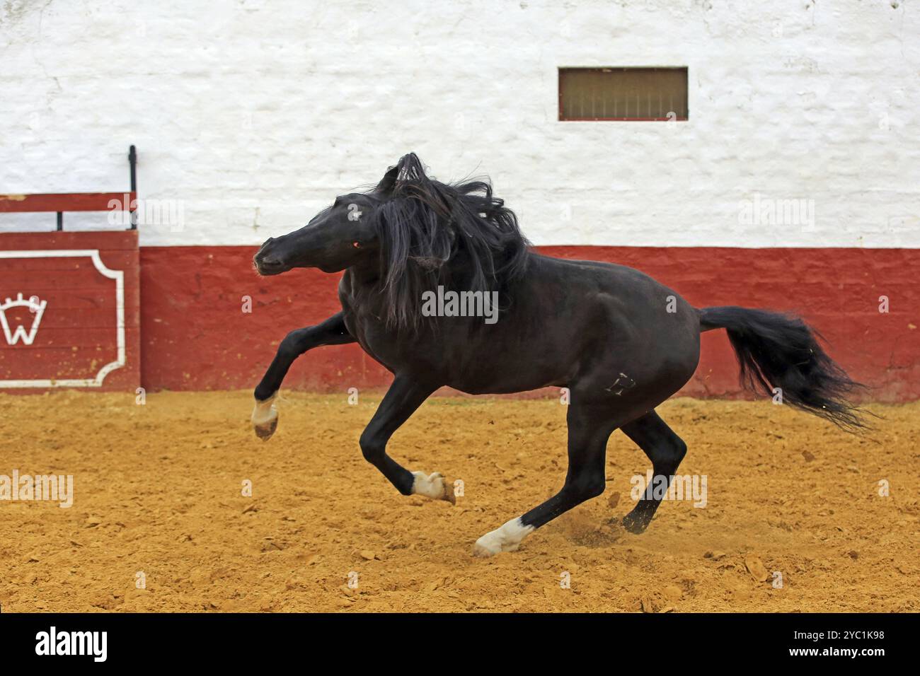 Jumping arena hi-res stock photography and images - Alamy