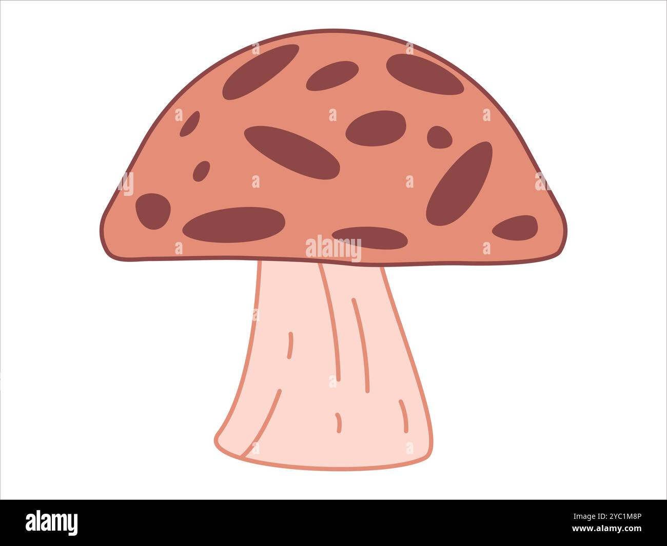 Mushroom wild fungi Porcini Amanita Muscaria fungus brown color edible ...