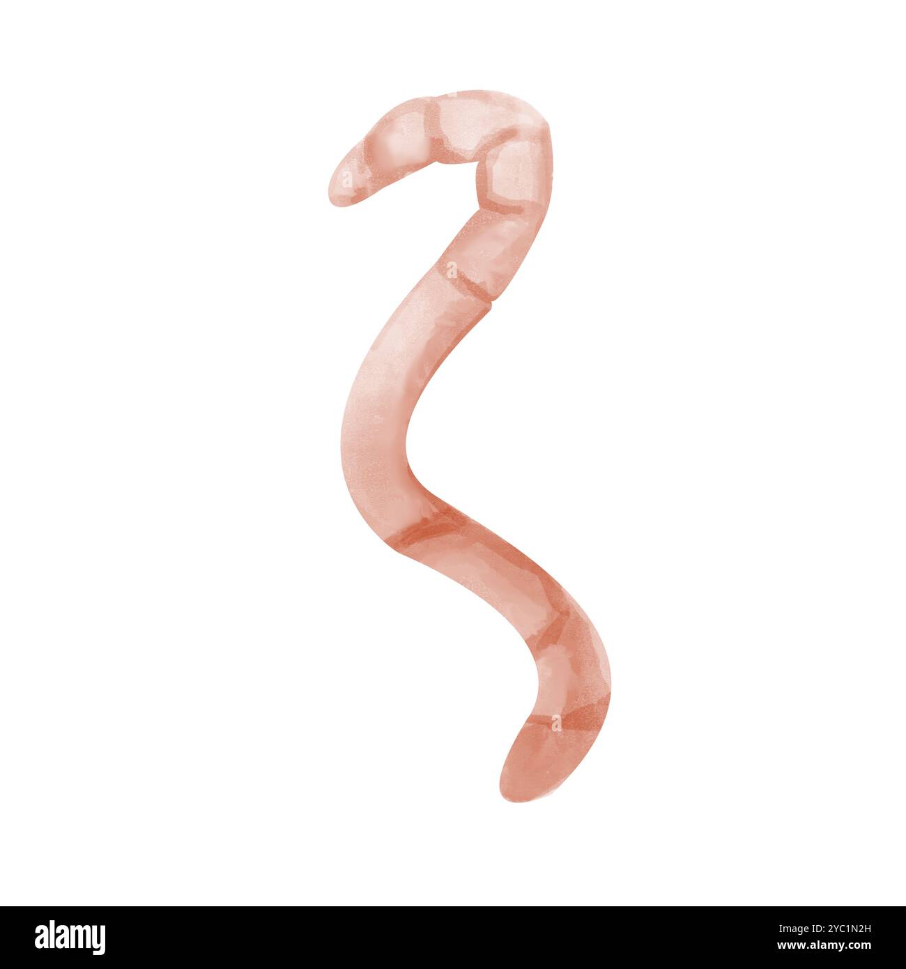 Watercolor worm hi-res stock photography and images - Alamy