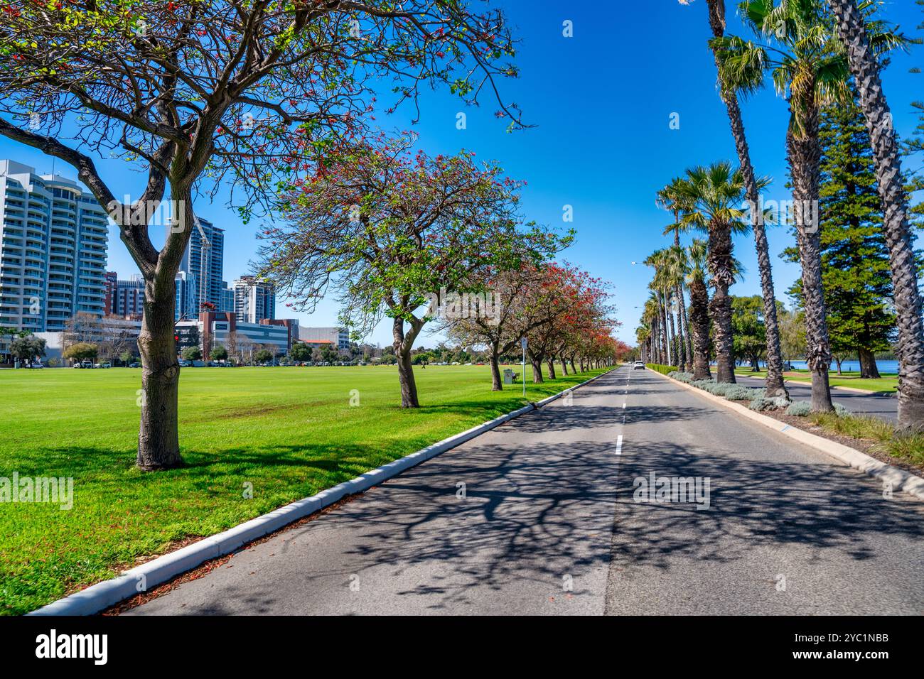 Langley Park and Perth Skyline on a beautiful sunny day, Australia ...