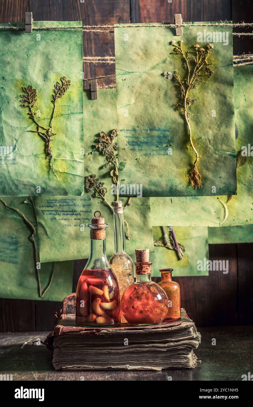 Odd and creepy and strange herbal workshop with dried herbs and flowers ...