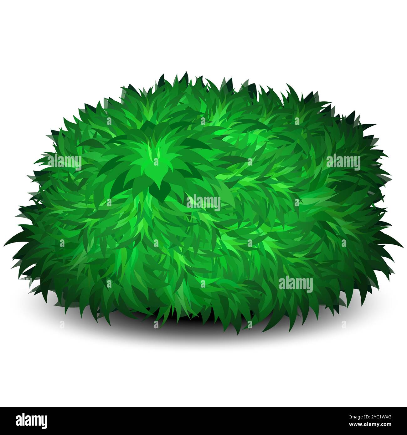 A lush, green bush with a rounded shape casts a shadow isolated on a ...
