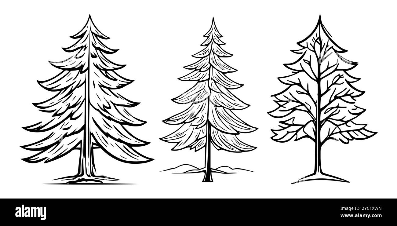 Christmas pir Tree vector illustration on white background Stock Vector ...