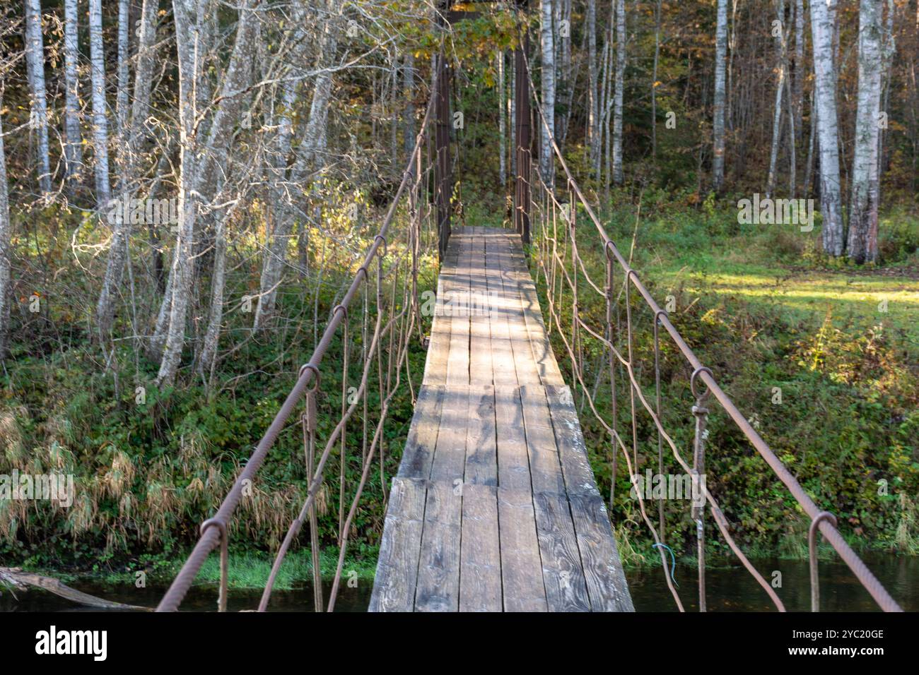 Rope bridge over Gauja, beautiful river bank, bridge connects both ...